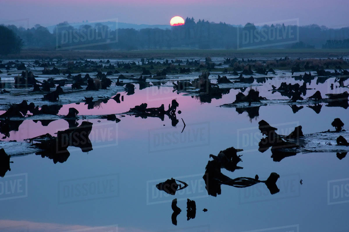 The Gearagh Near Macroom At Sunset; County Cork Ireland - Royalty-free ...