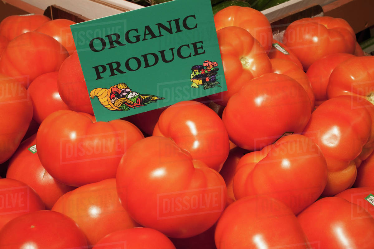 Tomatoes With A Sign Labeled Organic Produce; Waterloo, Quebec, Canada ...