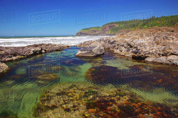 Rock Formations On Short Beach At Oregon Islands National Wildlife ...
