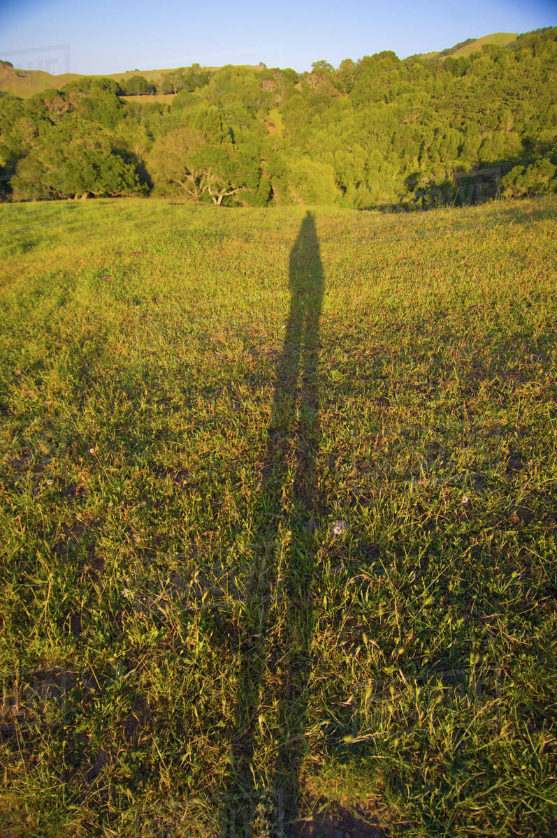 Shadow Of A Person On A Grassy Hill At Sunset; Petaluma, California ...