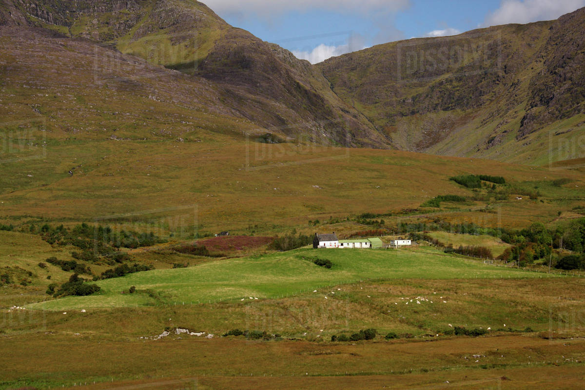 Lone Farmhouse On The Iveragh Peninsula Or Ring Of Kerry; County Kerry ...