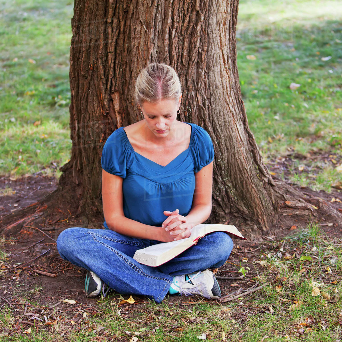 Woman Reading Her Bible And Praying In The Park Beside A Tree; Edmonton ...