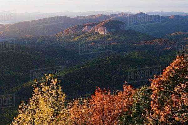 Blue Ridge Parkway, North Carolina, United States Of America; Autumn ...