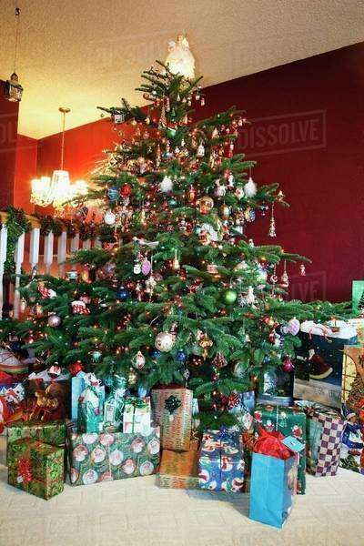 A Christmas Tree With Gifts Underneath It - Royalty-free Stock Photo ...