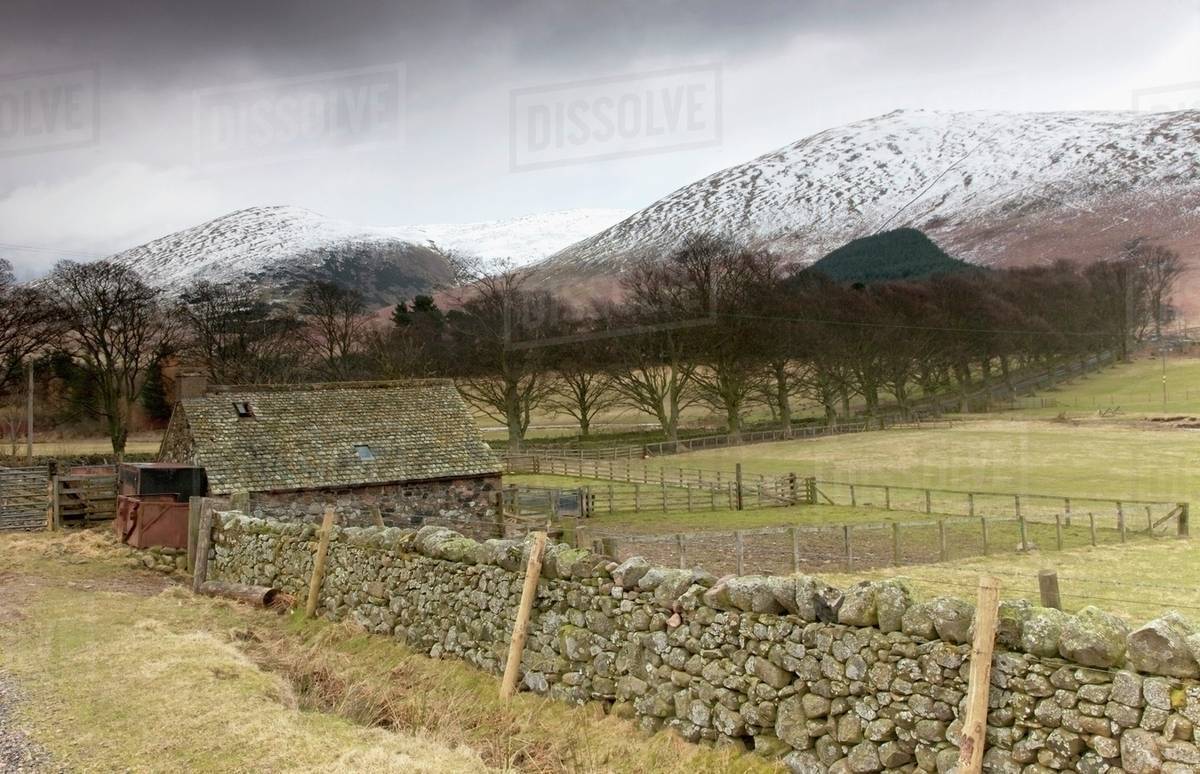 Scottish Borders, Scotland; A Stone Fence And Shed With A Snow Covered ...