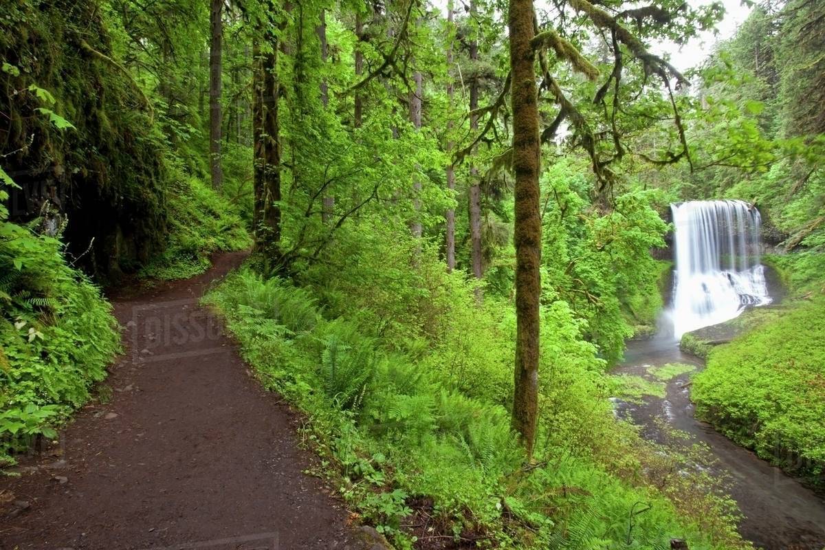 North Middle Falls In Silver Falls State Park; Oregon, Usa - Royalty ...