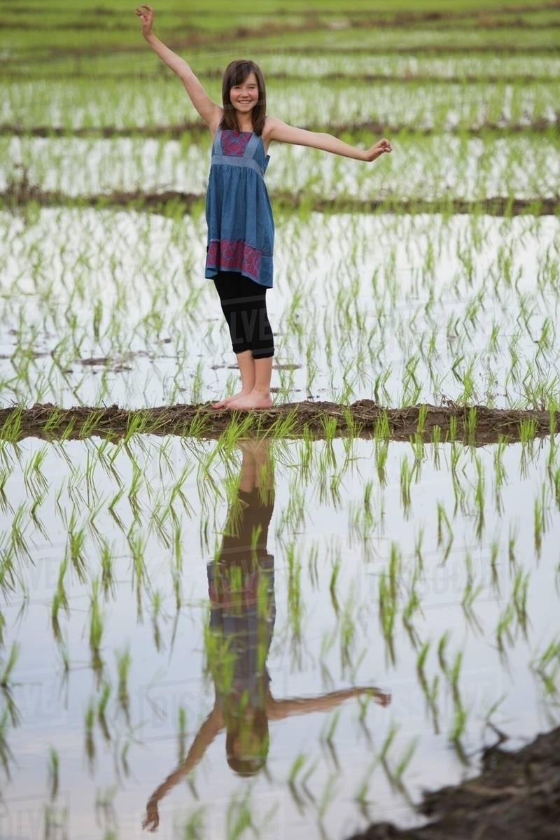 A Teenage Girl Standing In A Rice Field; Chiang Mai, Thailand - Royalty ...