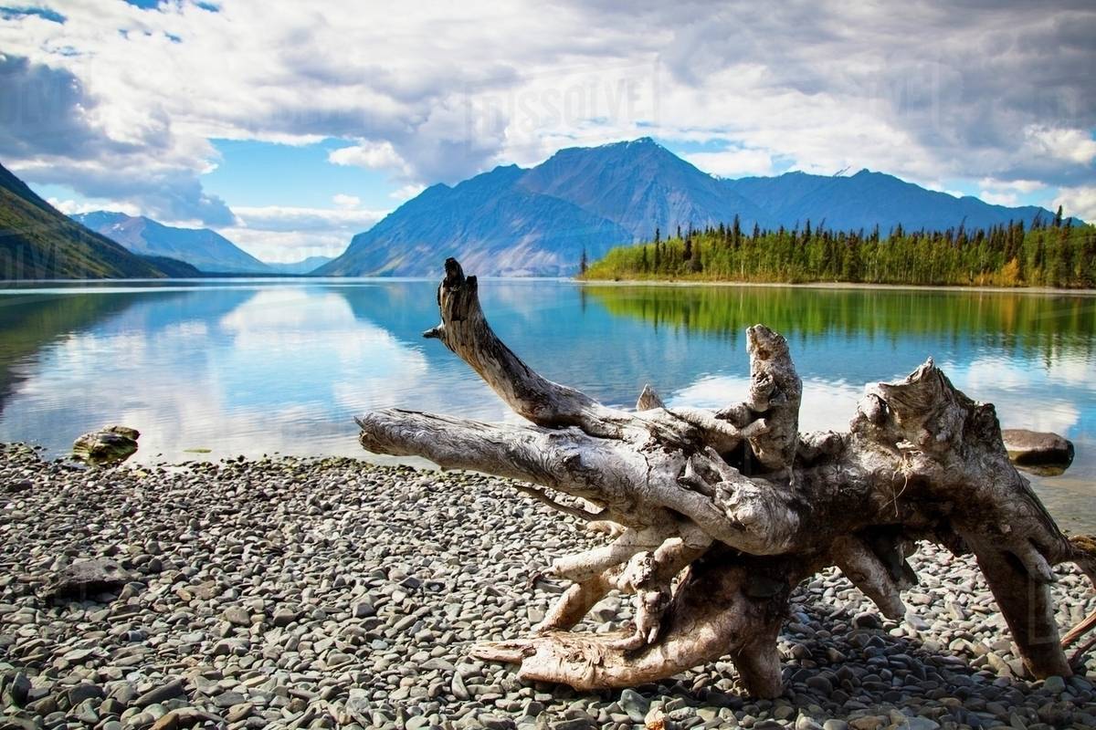 Lake Kathleen In Kluane National Park And Reserve In The Yukon ...