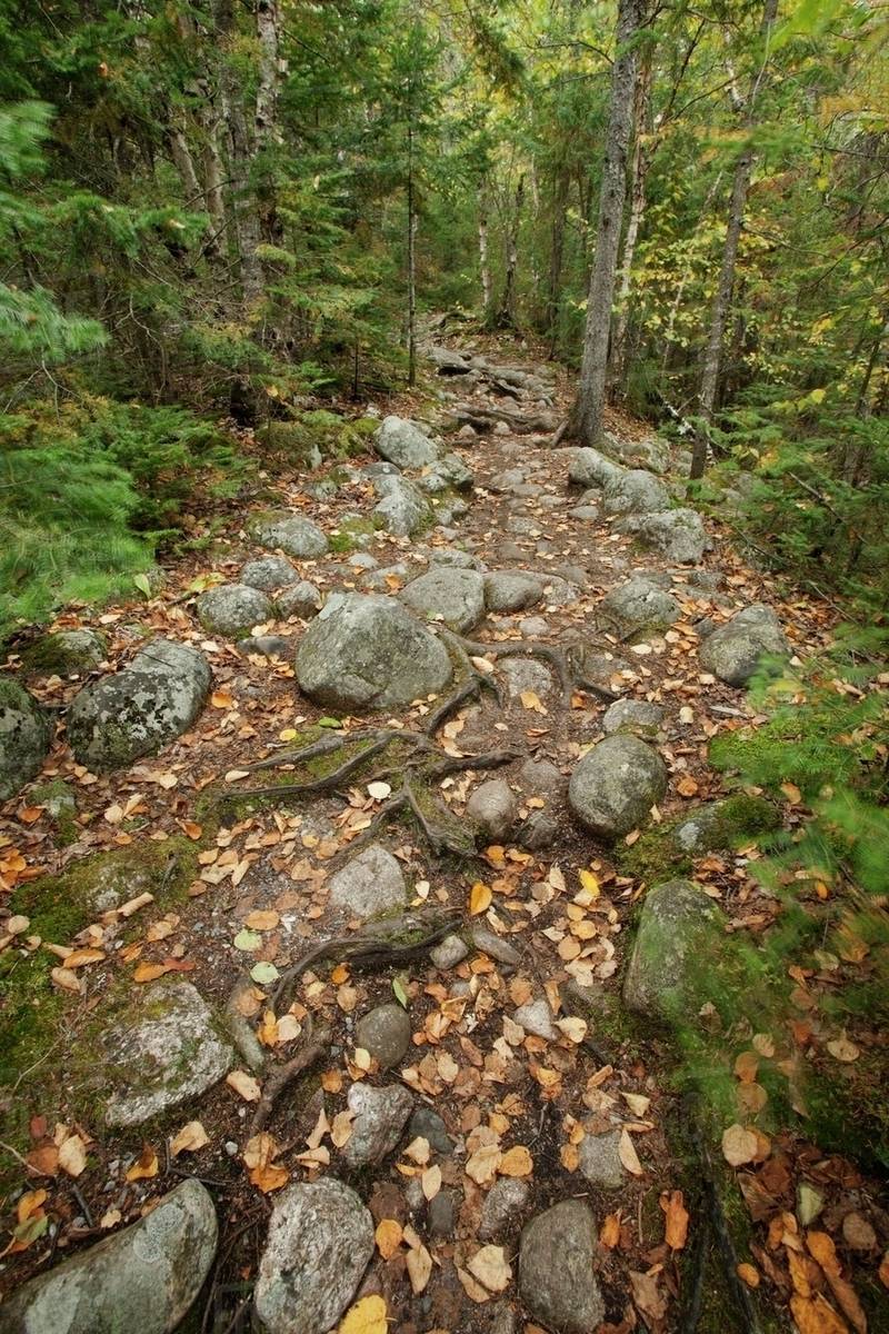 A Rocky Path Through A Forest In Autumn; Ontario, Canada - Royalty-free ...