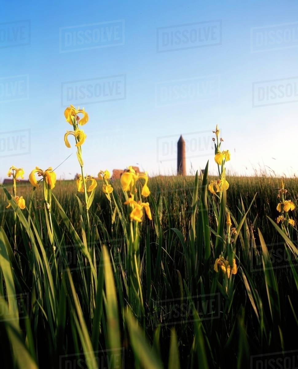 Round Tower, Devenish Island, Lower Lough Erne, County Fermanagh ...
