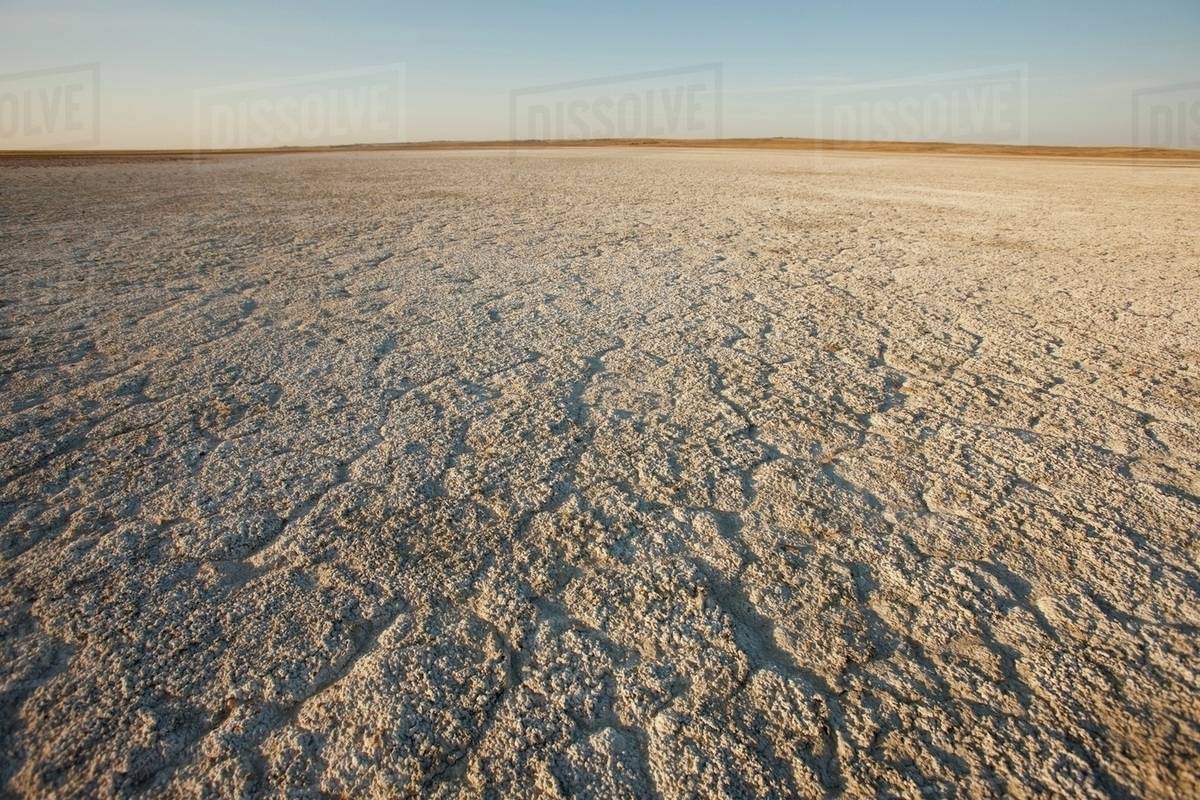 Dry Ground Reaching Into The Horizon - Stock Photo - Dissolve
