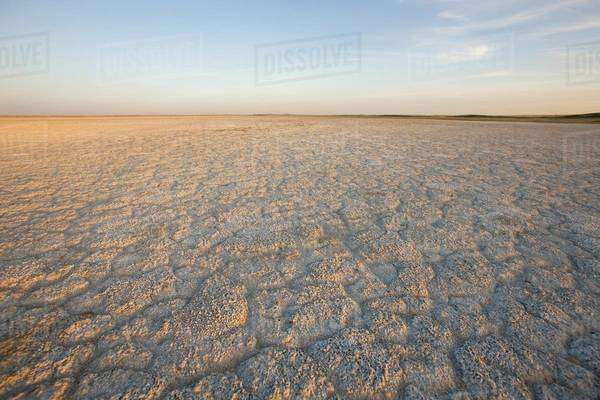 Dry Ground Reaching Into The Horizon - Stock Photo - Dissolve