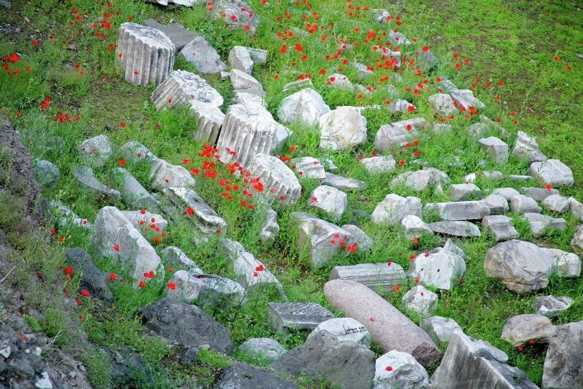Florence, Italy; Flowers Growing Among Ruins - Royalty-free Stock Photo ...