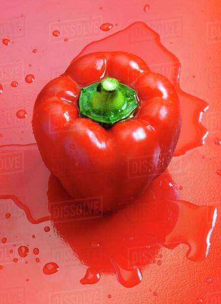 Red Pepper - Stock Photo - Dissolve