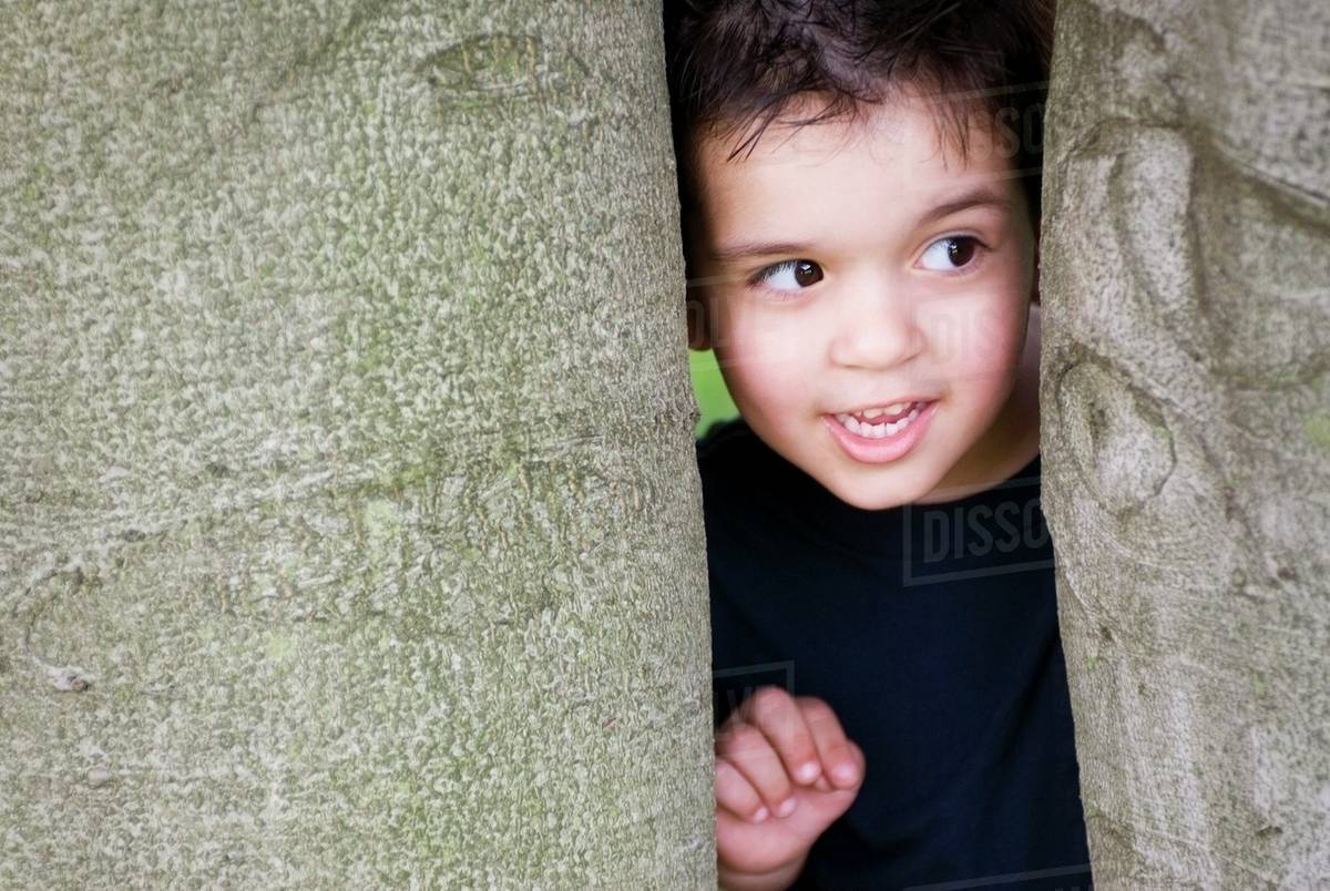 Peeking; Boy Peeking Between Trees - Royalty-free Stock Photo | Dissolve