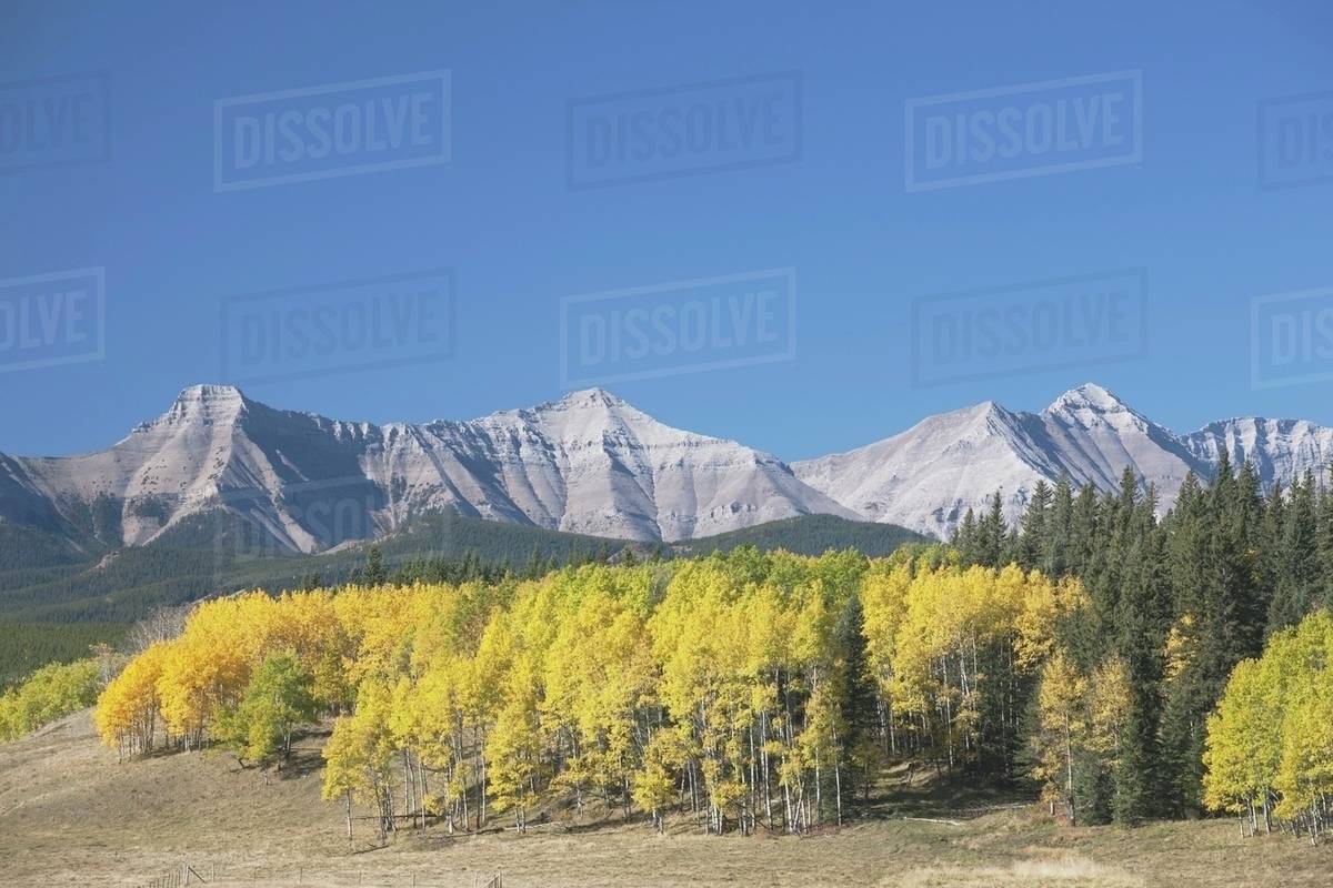 West Of The Turner Valley, Kananaskis, Alberta - Royalty-free Stock ...