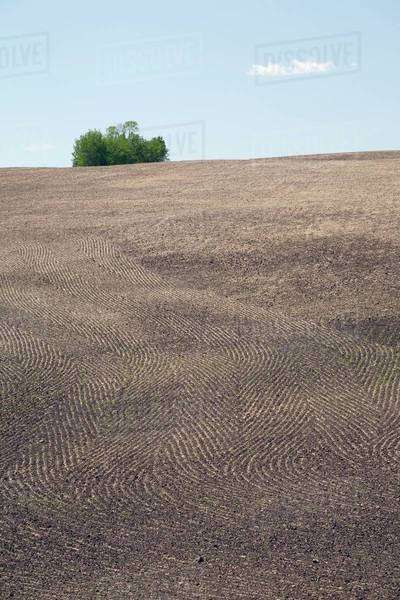 Seeding Patterns In Soil, Central Alberta, Canada - Royalty-free Stock ...