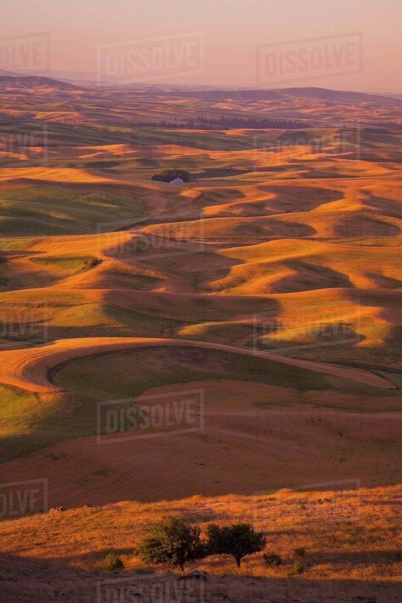 Hilly Landscape - Stock Photo - Dissolve