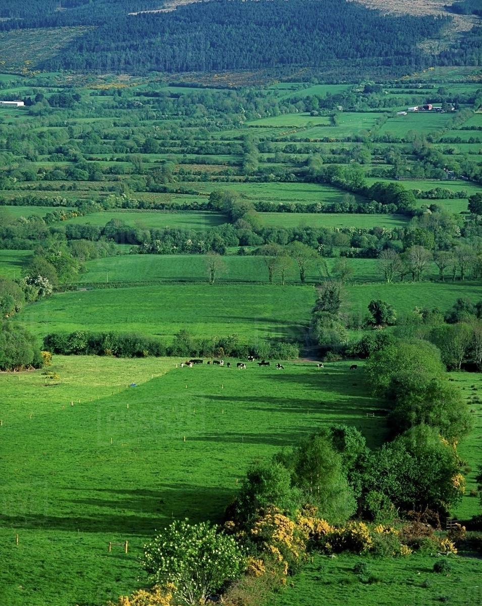 Glen Of Aherlow, County Tipperary, Ireland - Royalty-free Stock Photo ...