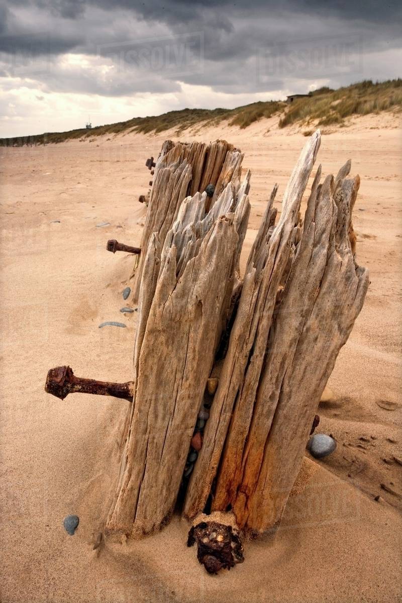 Wooden Posts On Beach - Stock Photo - Dissolve