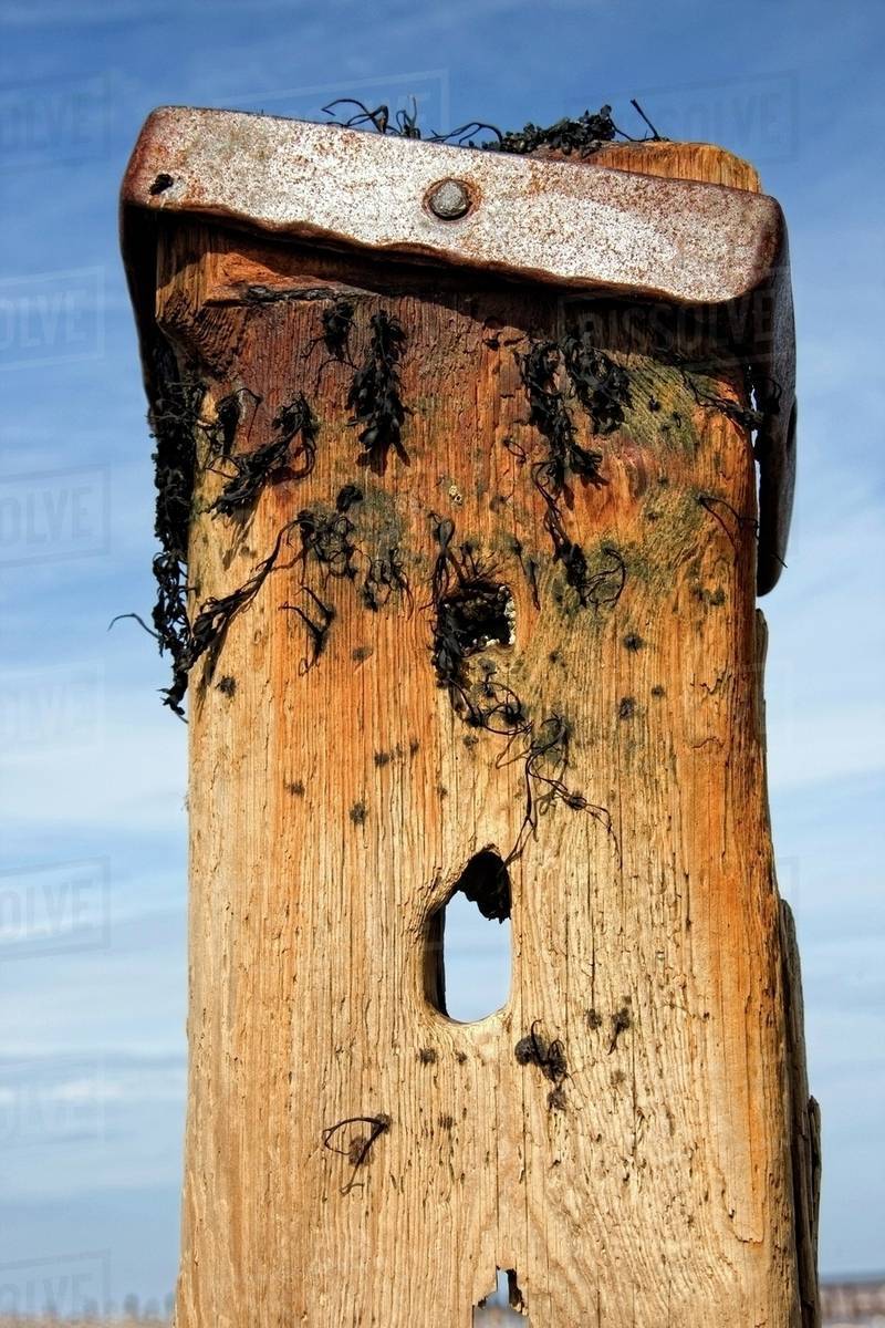 Wooden Post With Hole In It - Royalty-free Stock Photo | Dissolve