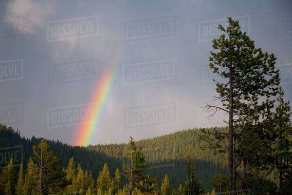 Rainbow, Mount Hood, Oregon, Usa - Stock Photo - Dissolve