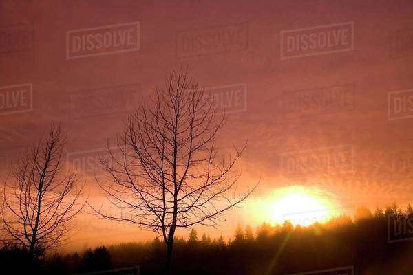 Happy Valley, Oregon, Usa - Royalty-free Stock Photo | Dissolve