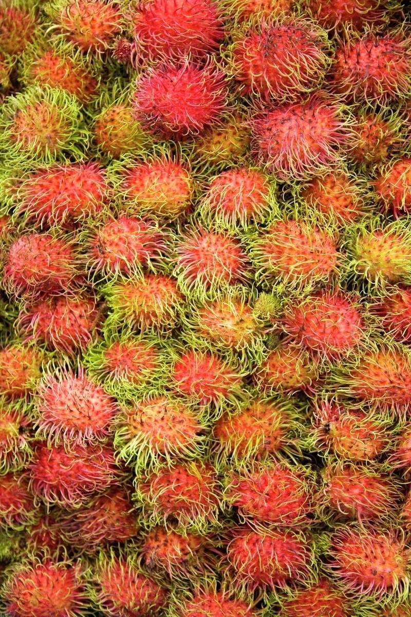 Rambutan, Central Market, Kuala Lumpur, Malaysia - Stock Photo - Dissolve