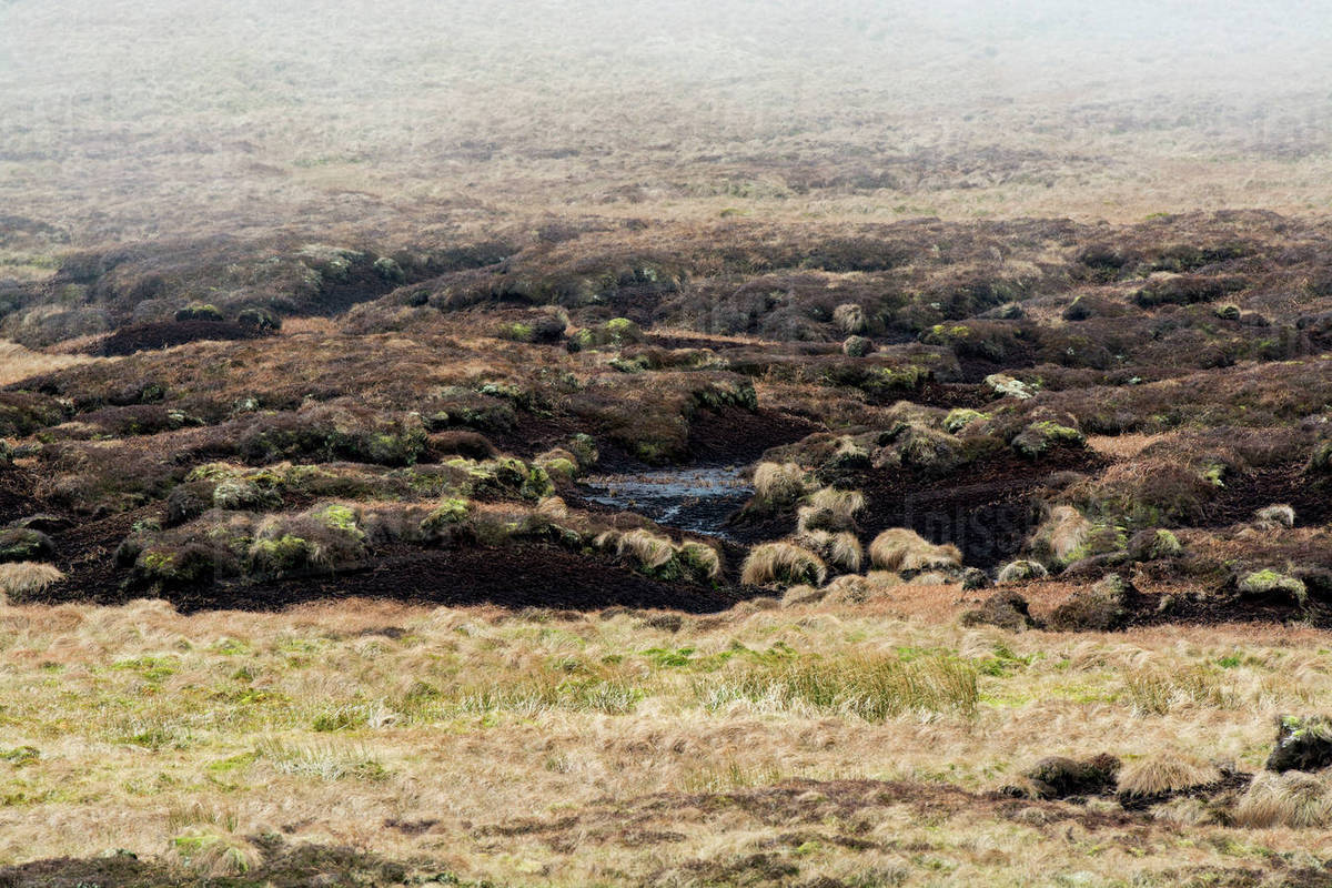 Exposed peat bog on moorland; North Yorkshire, England - Royalty-free ...