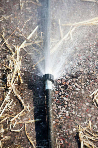 Water spraying out of a leak in a worn hose pipe; United Kingdom ...