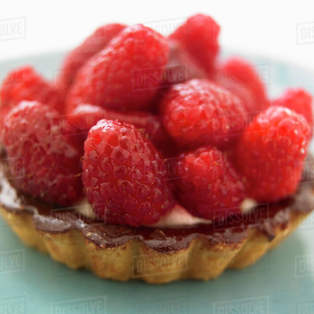 Close up of a raspberry tart on a teal plate; Victoria, British ...
