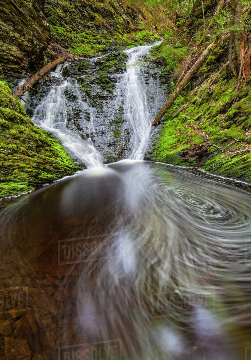 Waterfall And Pool In A Mossy Forest Ravine In Springtime Along Old ...