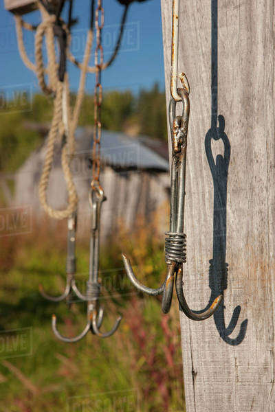 Close up of fishing hooks hanging from a drying shet, Shungnak, Arctic ...