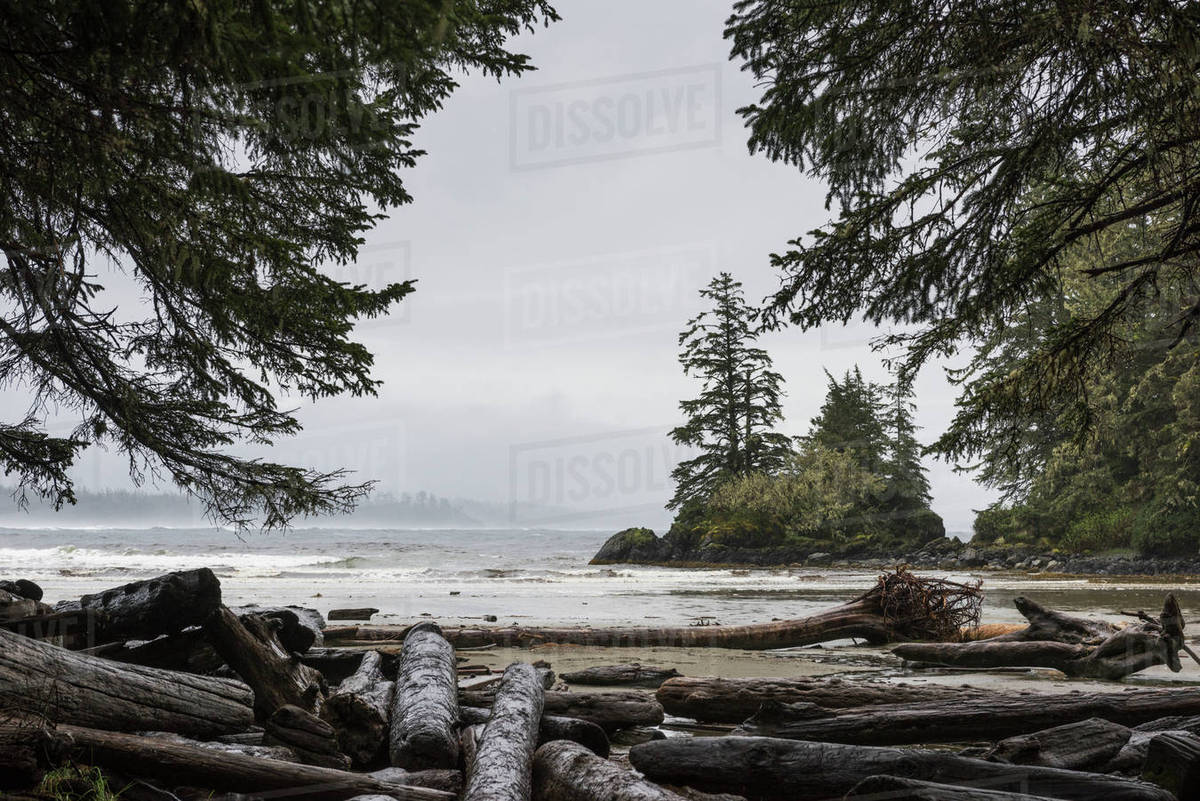 Pacific Rim National Park; British Columbia, Canada - Royalty-free ...