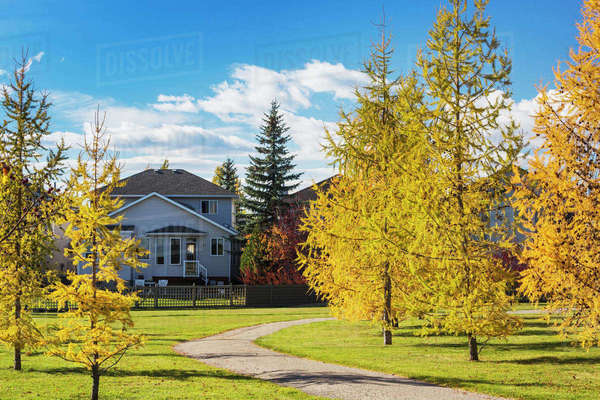 Colourful Trees In Autumn In A Neighbourhood Park With Pathway ...