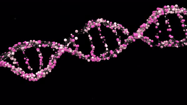 Abstract DNA molecule. 4K CGI animation. - Stock Video Footage - Dissolve