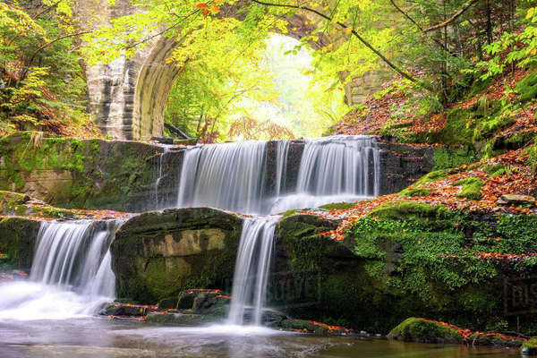 Sunny day in the summer forest. Old stone bridge. Small river and ...