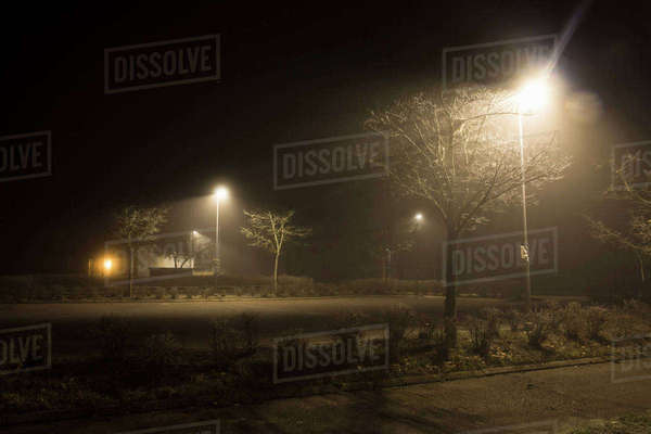 Empty road and illuminated street lights at night - Stock Photo - Dissolve