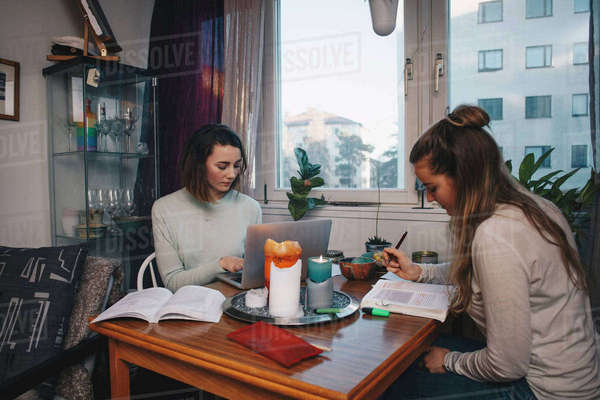 Young female students studying together in college dorm room - Royalty ...