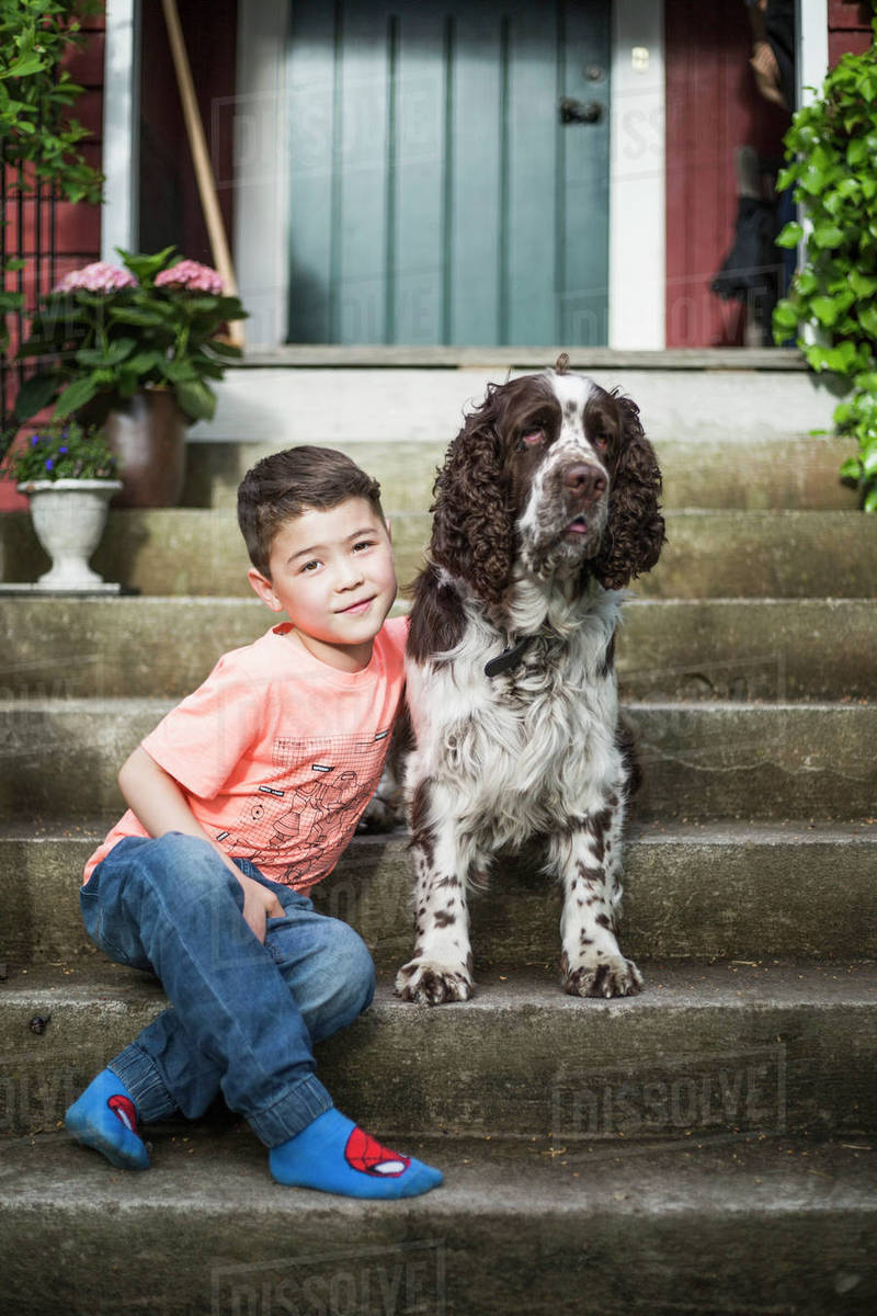 Portrait of smiling boy sitting with English Springer Spaniel on steps ...