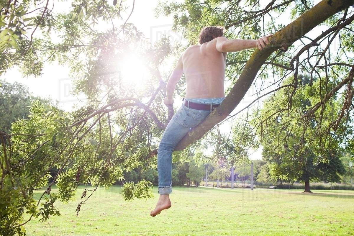 Rear view of young man looking out from tree in park - Stock Photo ...