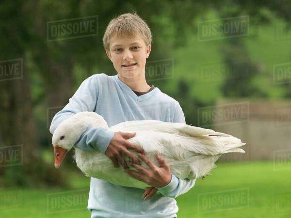 Boy Holding Goose - Stock Photo - Dissolve