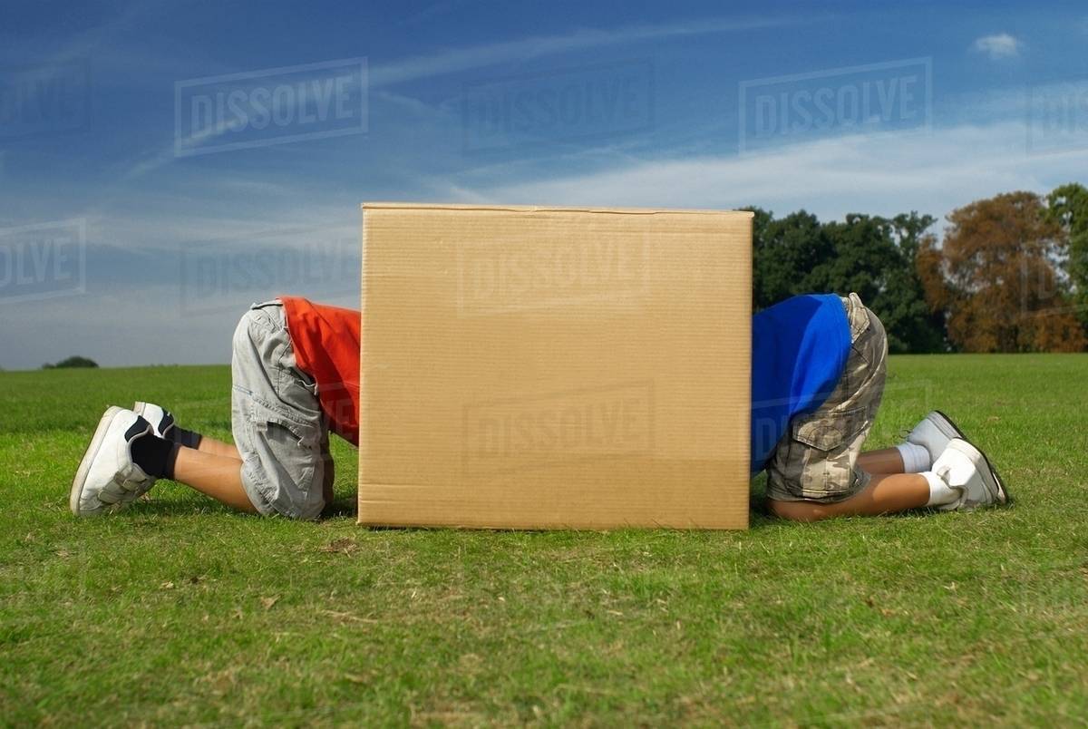 Two boys crawling into box - Stock Photo - Dissolve