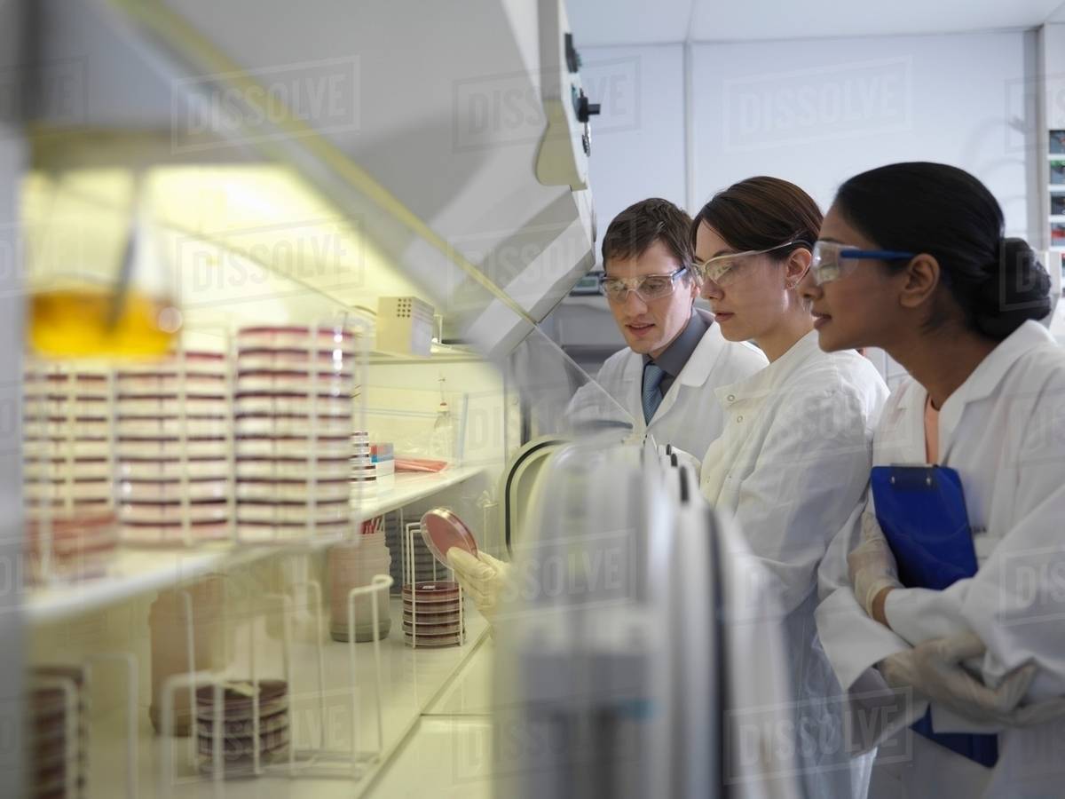 Laboratory technicians working together - Stock Photo - Dissolve