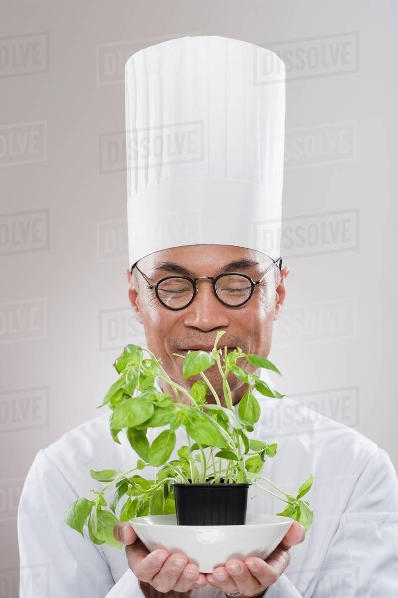 Chef with herb - Royalty-free Stock Photo | Dissolve