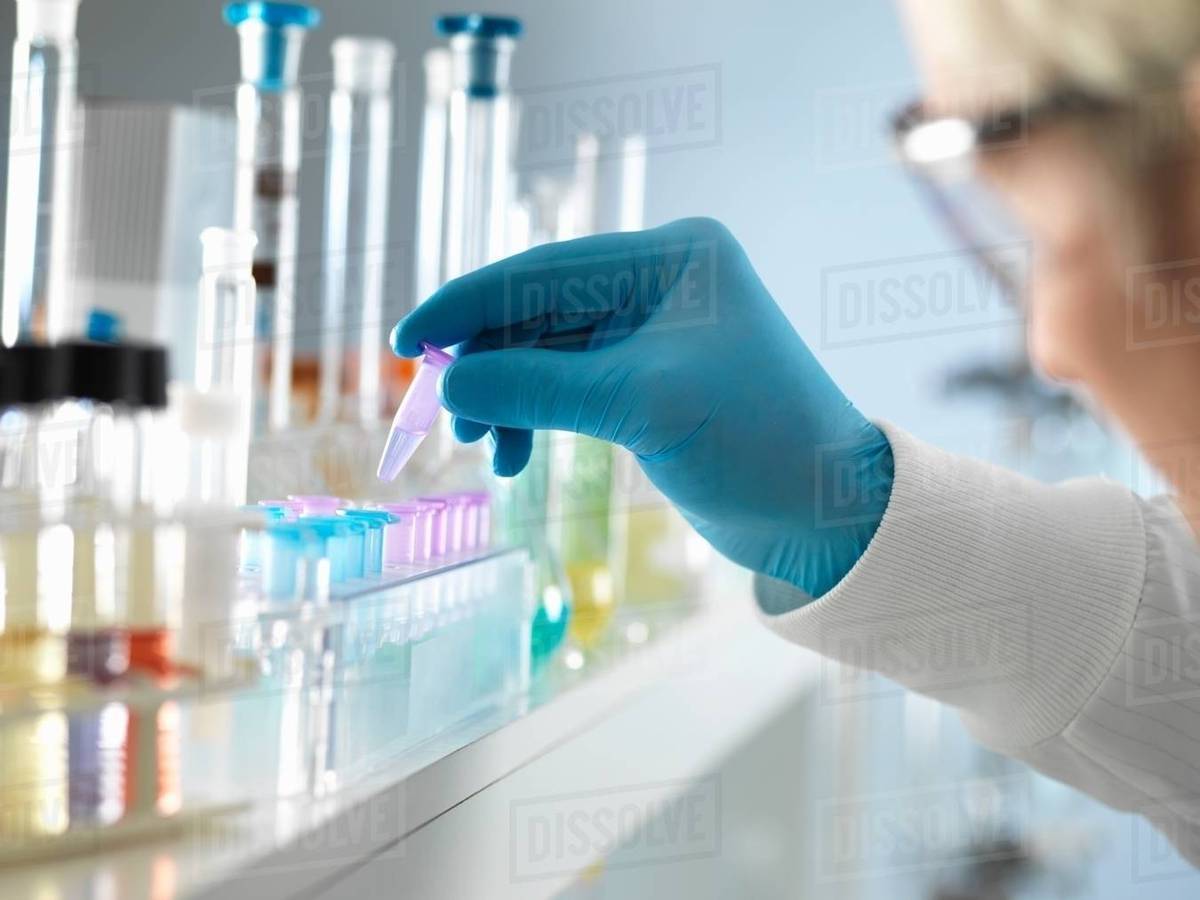 Scientist testing DNA sample of human in laboratory - Stock Photo ...