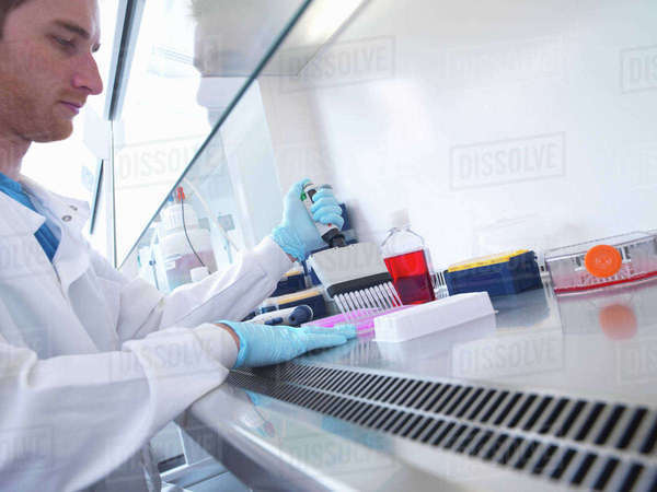 Scientist using multi well pipette to fill multi well plate in ...