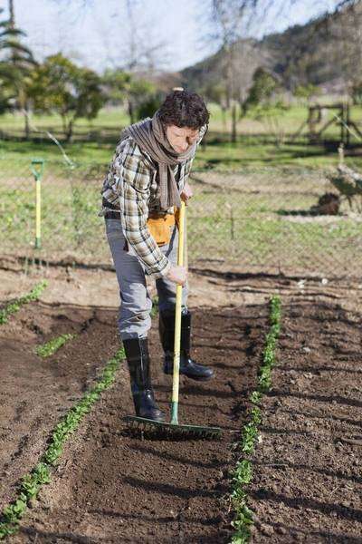 Man turning over soil in garden - Royalty-free Stock Photo | Dissolve
