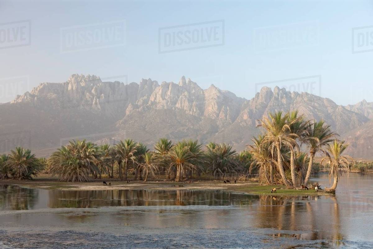 The Hagier Mountains near Hadibu, Socotra, Yemen - Stock Photo - Dissolve
