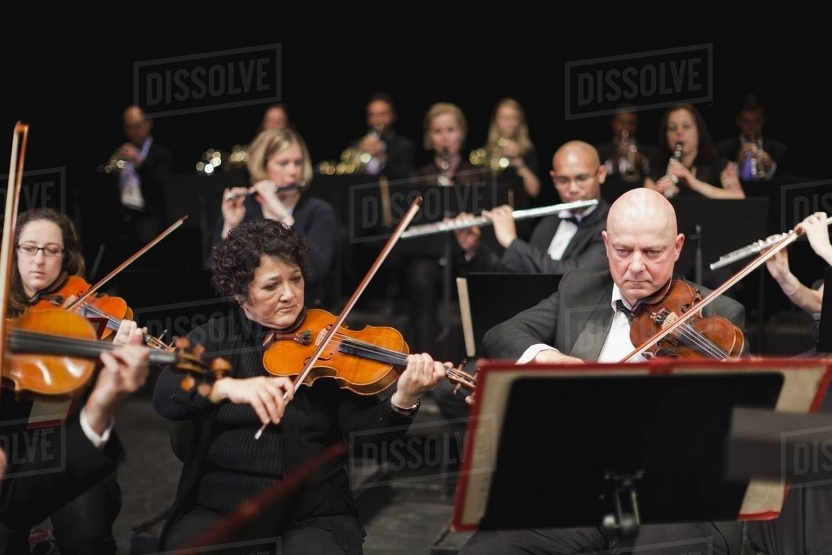 String section in orchestra - Royalty-free Stock Photo | Dissolve